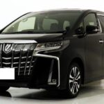 Montego Bay Airport to Ocean Coral Spring Private Transfers - What Makes This Transfer Stand Out?