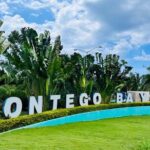Montego Bay Airport Transfer - What Makes This Transfer Stand Out?