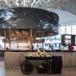 Montego Bay Airport Transfers to Hotels in Montego Bay - Who Will Love This Service?