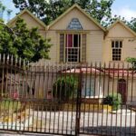 Montego Bay: Bamboo Rafting and Montego Bay Guided Tour - Who Will Love This Tour?