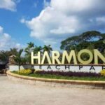 Montego Bay: Bamboo Rafting, Food Tour, and City Tour - Practical Details and Why They Matter