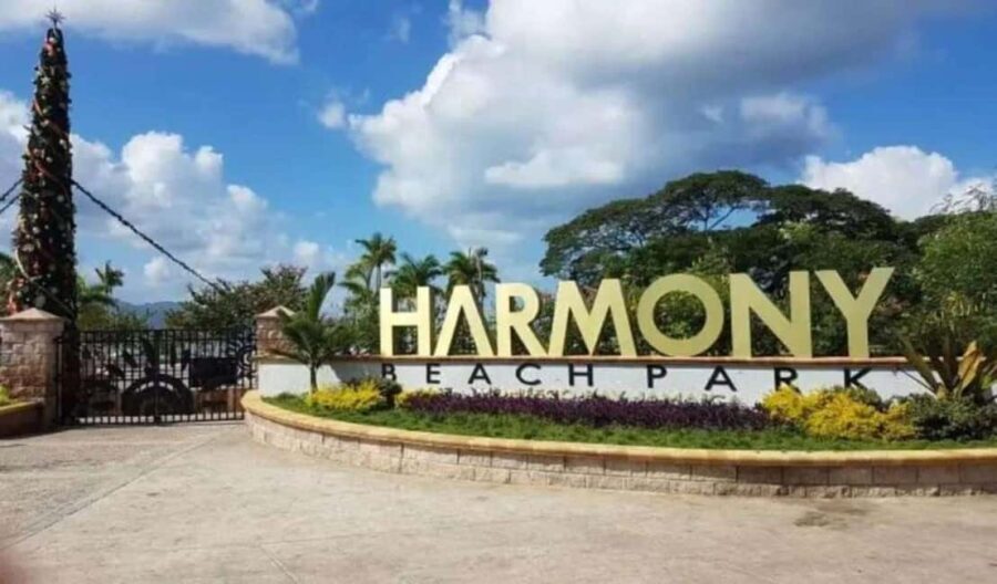 Montego Bay: Bamboo Rafting, Food Tour, and City Tour - Practical Details and Why They Matter