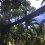 Montego Bay: Blue Hole, Dunn's River Falls, and Zipline Tour - Overview of the Tour Experience