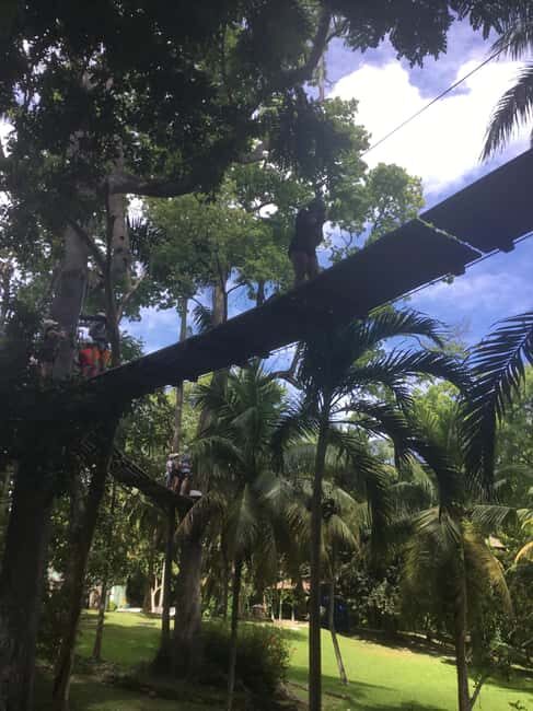 Montego Bay: Blue Hole, Dunn's River Falls, and Zipline Tour - Overview of the Tour Experience