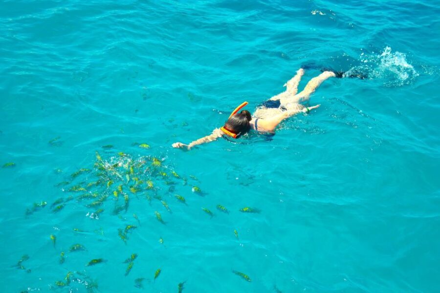 Montego Bay Catamaran Cruise and Snorkeling Tour - The Scenic Cruise along Montego Bay