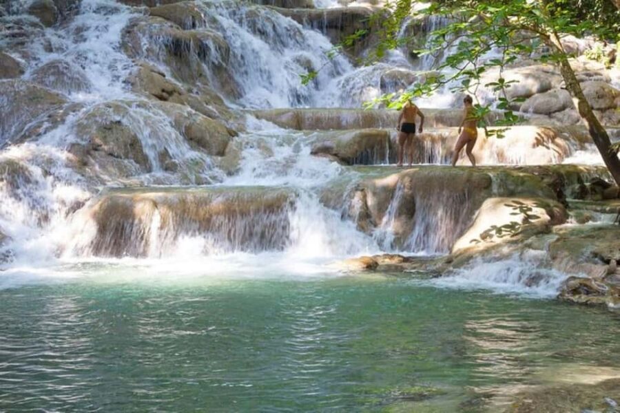 Montego Bay: Chuck Norris Falls & Dunn's River Falls Tour - The Highlight: Dunn’s River Falls