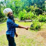 Montego Bay: Cockpit Caves Experience - A Closer Look at the Cockpit Caves Experience