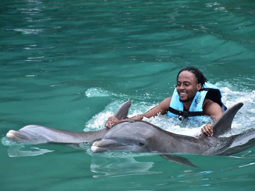 Montego Bay: Dolphin Cove Ocho Rios Day Trip with Transfers - What’s Included and What You Should Bring