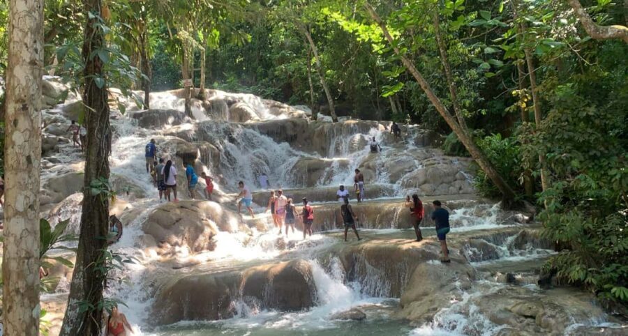 Montego Bay: Dunn's River Falls Private Excursion - Practical Details & What You Need to Know