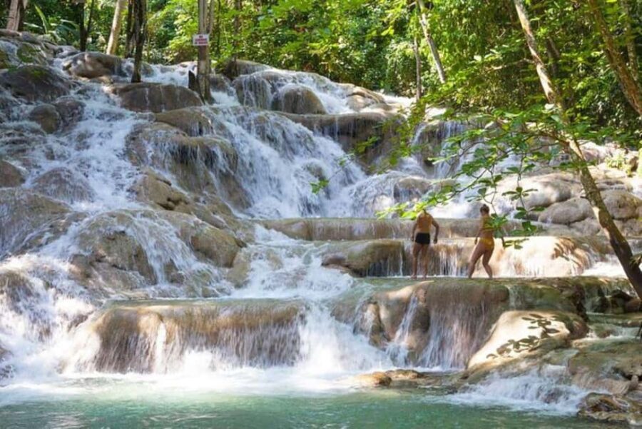 Montego Bay: Dunn's River Falls,Secret Falls, Zipline Combo - Key Points