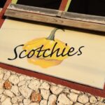 Montego Bay & Falmouth Hotels, Souvenir Shopping and sightseeing - Why This Tour Works for You