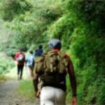 Montego bay Highlight Tour - The Transport and Group Size