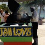 Montego Bay Highlights Tour with Shopping & Bamboo River Rafting - Who Will Love This Tour?