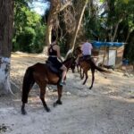 Montego Bay: Horseback Riding and Dunn's River Falls Tour - The Sum Up