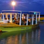 Montego Bay: Luminous Lagoon Night Tour by Boat - Final Thoughts