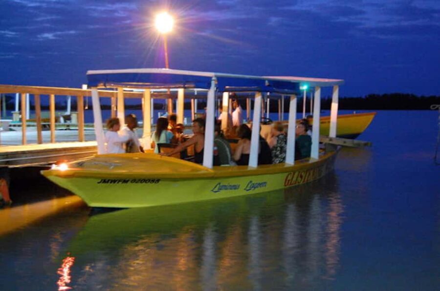 Montego Bay: Luminous Lagoon Night Tour by Boat - Final Thoughts
