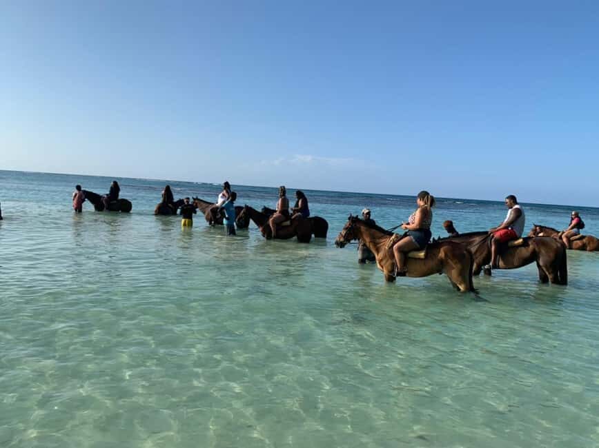 Montego Bay: Oceanfront Horseback Ride at Braco Stables - Exploring Jamaica’s Plantation Ruins