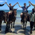 Montego Bay Private Airport Transfer - The Booking and Cost