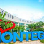 Montego Bay Private Airport Transfer - Deep Dive: How the Experience Plays Out