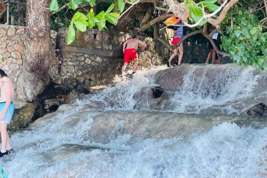 Montego Bay: Private Dunn's River Falls and Blue Hole Tour - Final Thoughts: Who Is This Tour For?