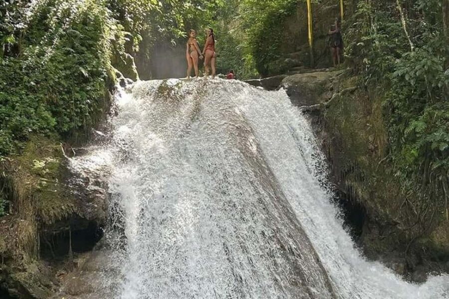 Montego Bay: Private Horseback Ride & Blue Hole Tour - What to Expect on the Tour