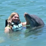 Montego Bay: Swim With The Dolphins Adventure in Lucea - The Detailed Itinerary