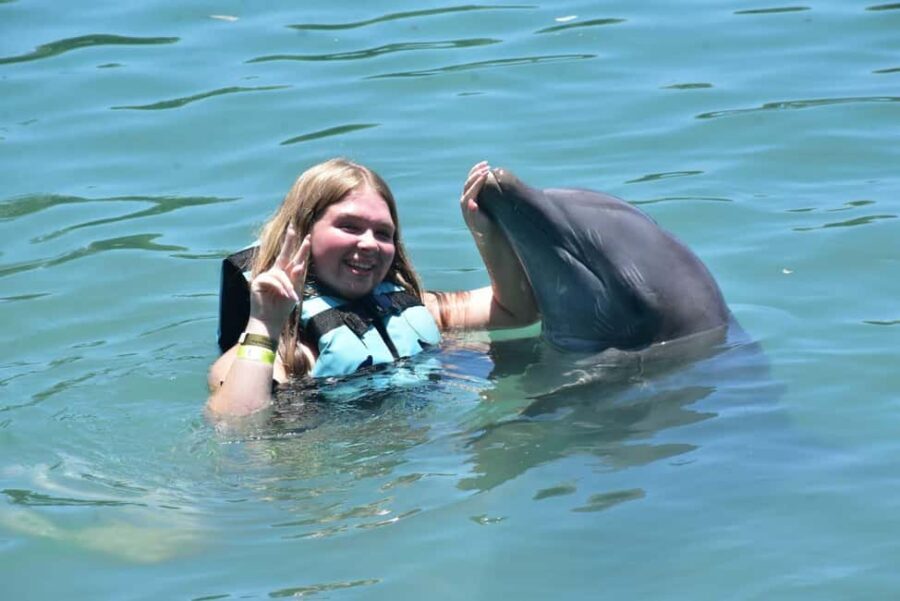 Montego Bay: Swim With The Dolphins Adventure in Lucea - The Detailed Itinerary