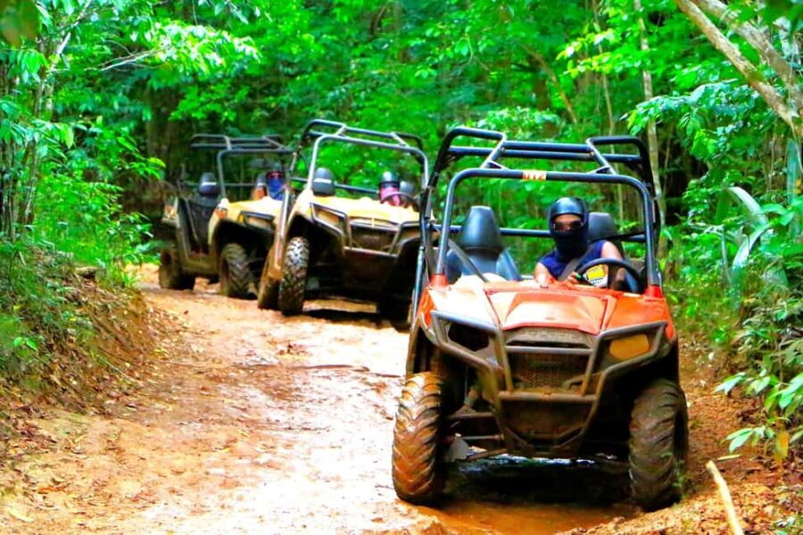 Montego Bay: Yaaman Adventure Park ATV Tour with Lunch - What to Expect on the Tour
