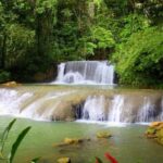 Montego Bay: YS Falls and Appleton Rum Private Tour by Van - Practical Details: What It’s Like to Take This Tour