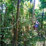 Montego Bay: Zip-Line Rainforest Tour with Pool & Gardens - Discovering the Mountain-Top Pool and Gardens