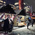 Montreal Christmas Lights 2-Hour Private Car Tour with an Expert - Why You Might Choose This Tour