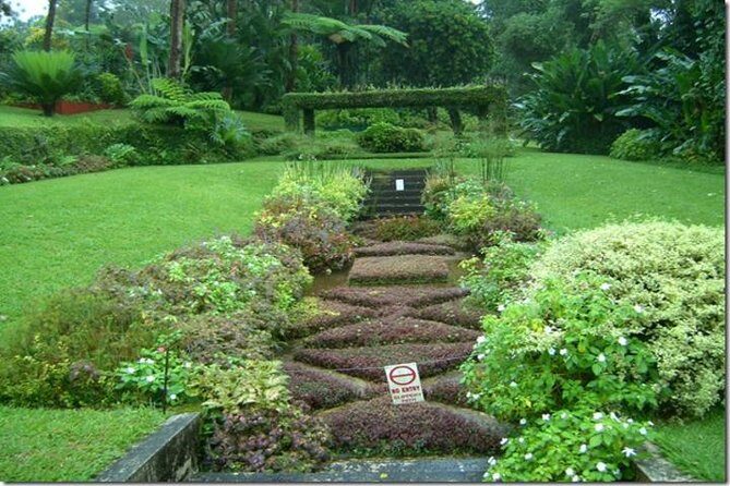 Montreal Gardens Tour with Trubb Taxi Tours - An In-Depth Look at the Tour Experience