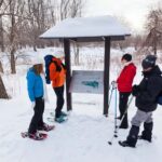 Montreal: Îles-de-Boucherville Entry Ticket and Snowshoeing - The Value of a Self-Guided Snowshoeing Adventure