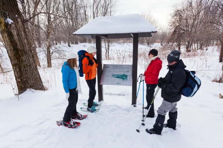Montreal: Îles-de-Boucherville Entry Ticket and Snowshoeing - The Value of a Self-Guided Snowshoeing Adventure
