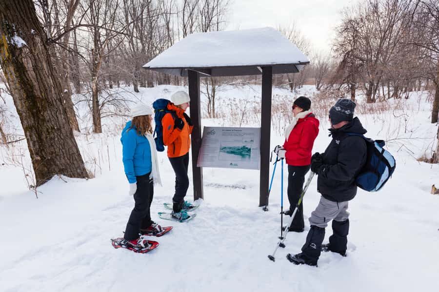 Montreal: Îles-de-Boucherville Entry Ticket and Snowshoeing - The Value of a Self-Guided Snowshoeing Adventure