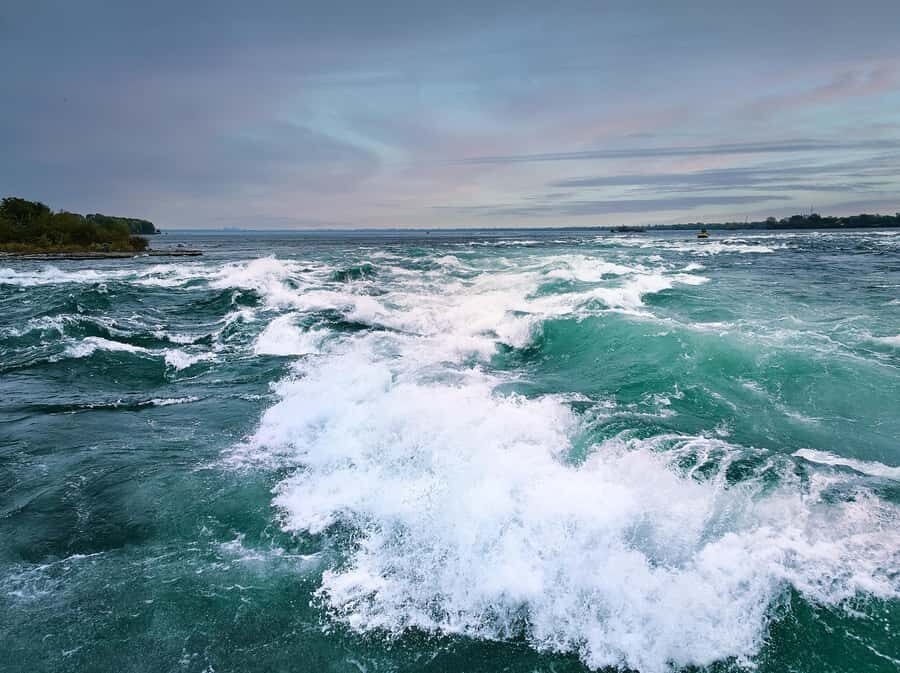 Montreal: Lachine Rapids Sightseeing Tour - Who Will Love This Tour?