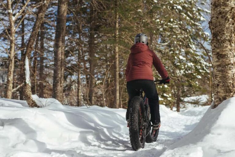 Montreal: Mont-Saint-Bruno National Park Entry and Fatbiking - What to Expect During Your Day