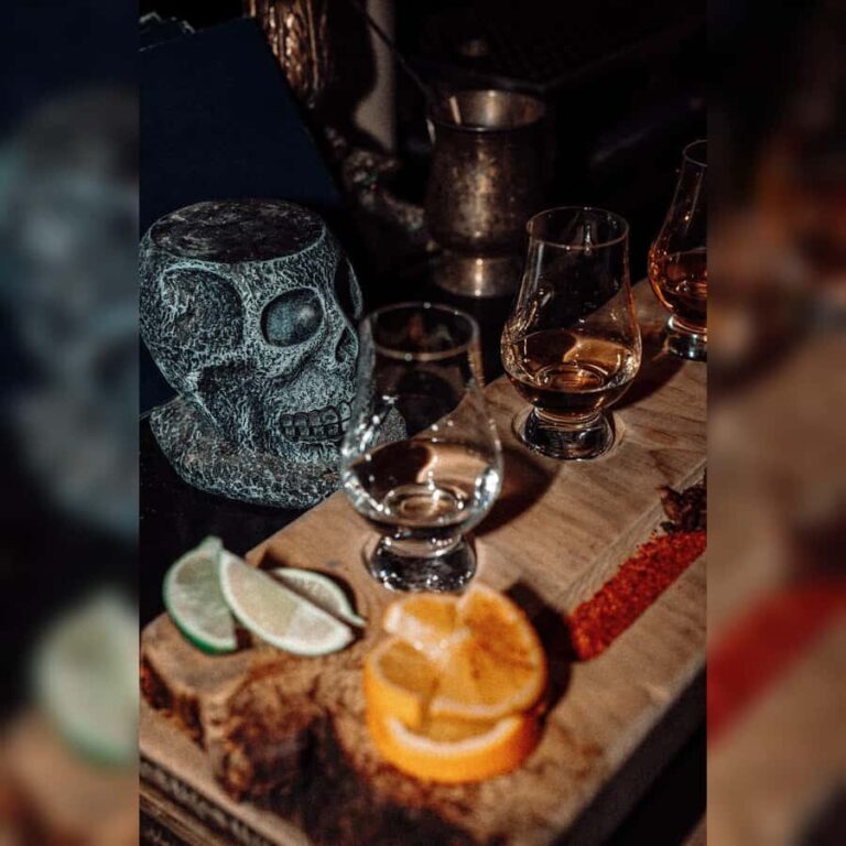 Montreal Old Port: Tequila & Mezcal Tasting/101 Course - The Tasting Board: A Curated Spirit Journey