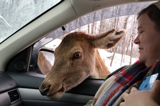 Montreal: Omega Park Canadian Wildlife Safari Adventure - The Real Value – What Travelers Say