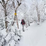 Monts-Valin National Park: Snowshoe Rental & Entry Ticket - Who Will Love This Experience?