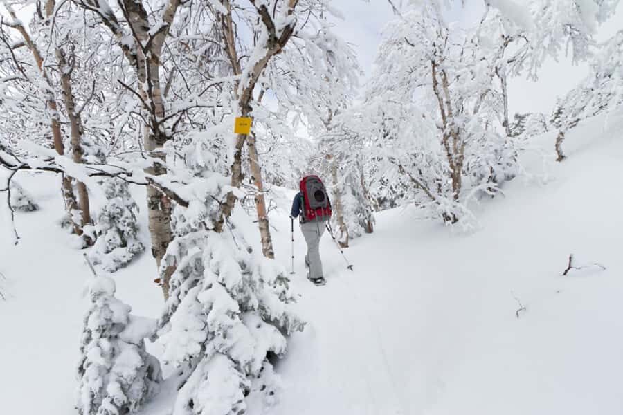 Monts-Valin National Park: Snowshoe Rental & Entry Ticket - Who Will Love This Experience?
