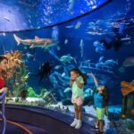Moody Gardens General Admission - Aquarium & Rainforest - Practical Tips for Visiting Moody Gardens