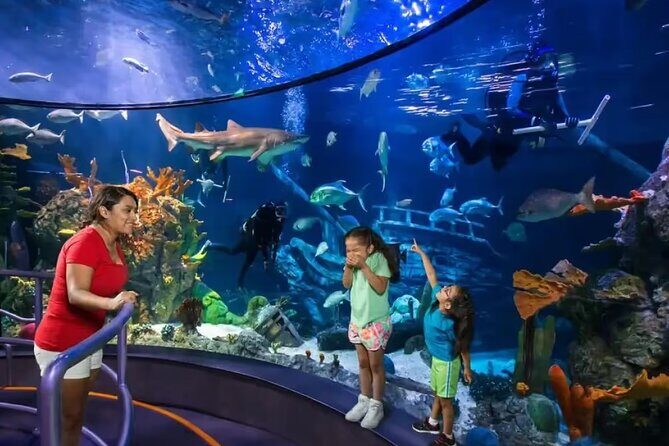 Moody Gardens General Admission - Aquarium & Rainforest - Practical Tips for Visiting Moody Gardens