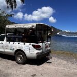 Moorea Cruise Ships: 4x4, Belvedere, Pineapple, & Magic Mountain - Who Would Love This Tour?