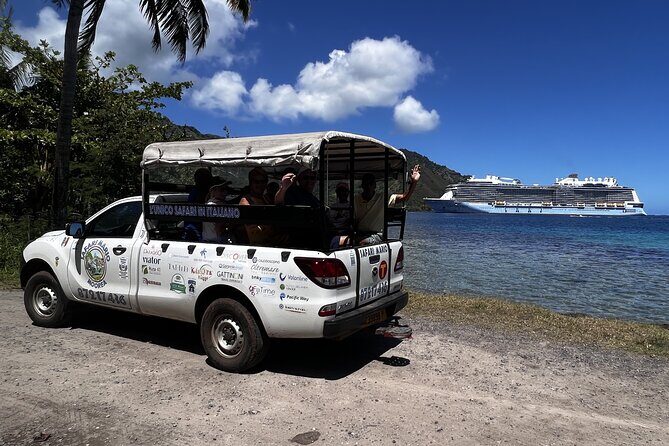Moorea Cruise Ships: 4x4, Belvedere, Pineapple, & Magic Mountain - Who Would Love This Tour?