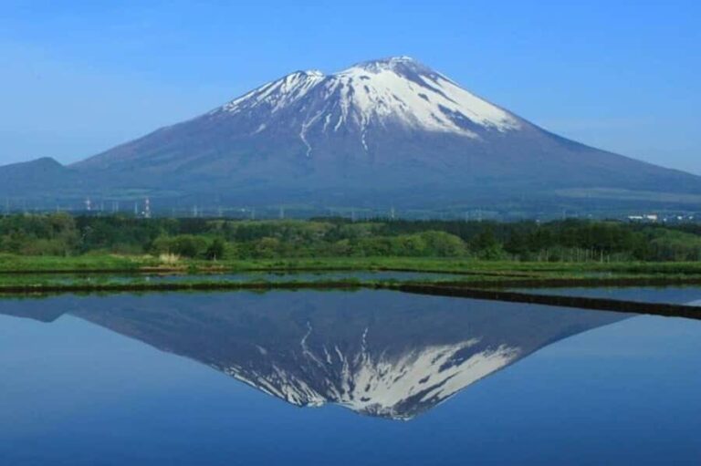 Morioka: Private Guided Tour with Government-Licensed Guide - Who Should Consider This Tour?