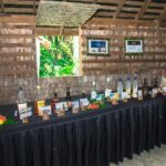 Morne Coubaril 3 in 1 Zipline Rum Chocolate and Lunch Experience - An In-Depth Look at the Tour Experience