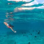 Morning Half Day Cruise from Providenciales with Snorkeling and Iguana Island - What Sets It Apart