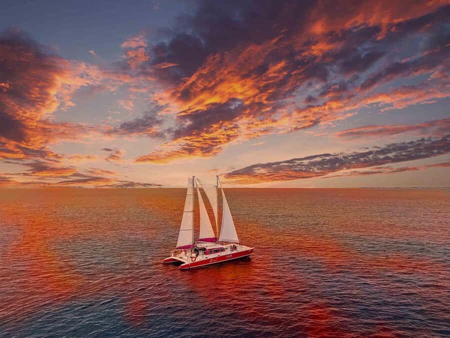 Morning Snorkeling or Sunset Sail to Boca Catalina With BBQ - What Travelers Say: The Good and the Challenges