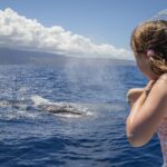 Morning Whale Watching Tour in Maui with Continental Breakfast - The Breakfast: A Tasty Addition